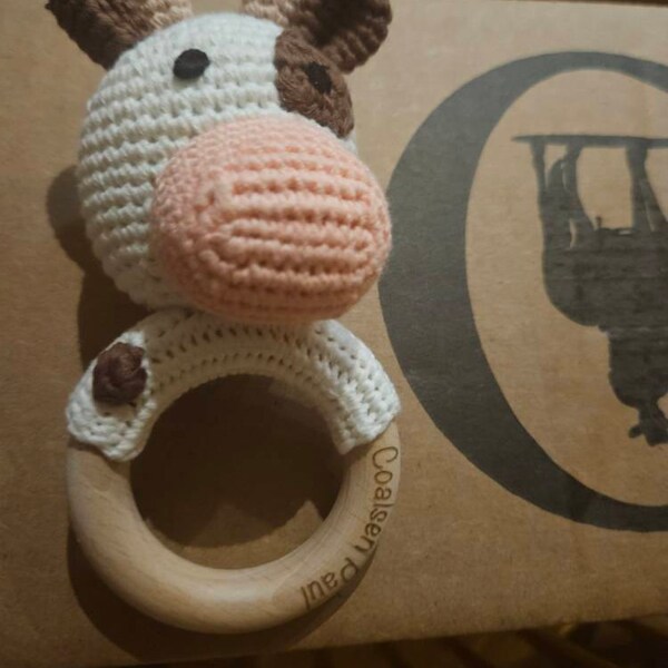 Personalized Baby Teether | Dinosaur Teether | Laser Engraved ...