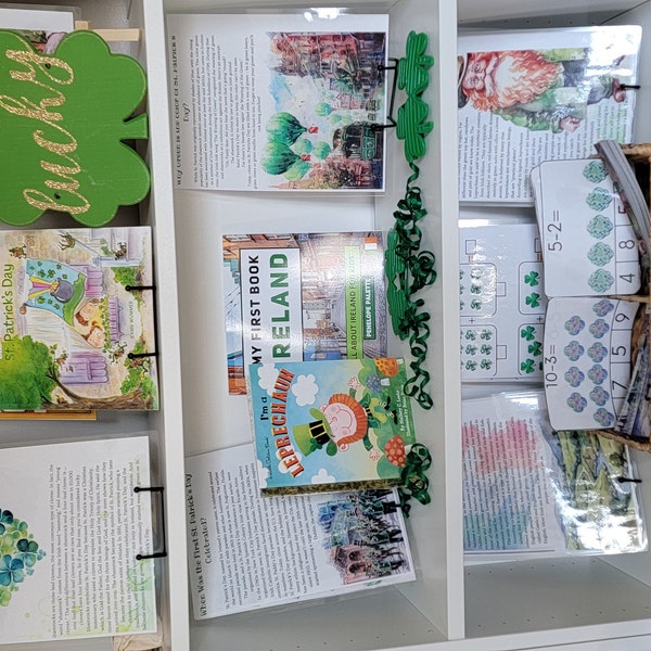 Human Organs Matching Printable, Parts of Human Body Flash Cards ...