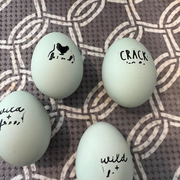 Mini Egg Stamp | Chicken Egg Marker | Duck Egg Stamps | Farmers Market ...