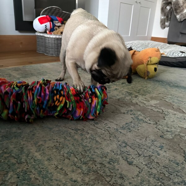 Large Snuffle Snake Interactive Fun Dog Puzzle Long Lasting Treat ...