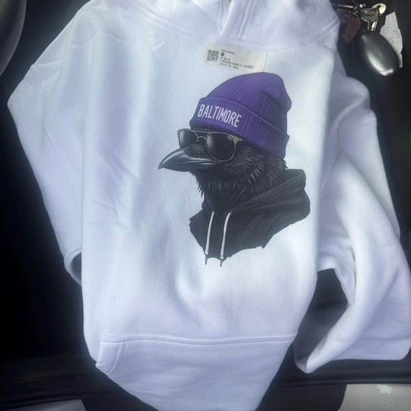 Baltimore Spirit Animal Raven Football Fan Mascot Unisex Hoodie - Etsy