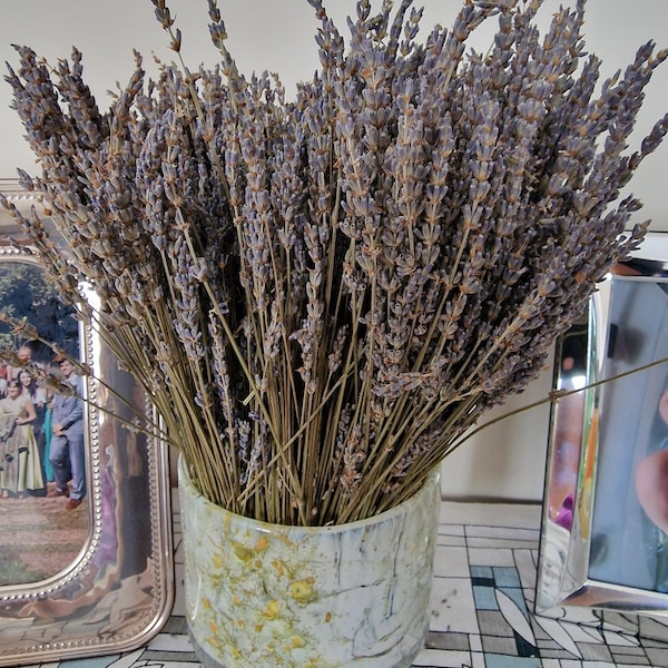 True Ceylon Cinnamon Irregular Shapes Pure 85g(3 Oz) - 1.95KG(68.8 Oz ...