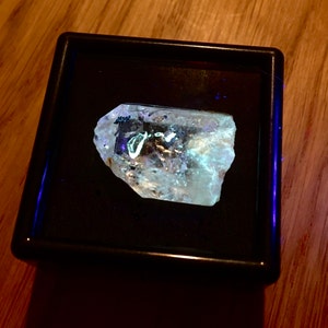 Stromatolite-microbialite Puy De Dôme France Display Specimen 11x9 Cm ...