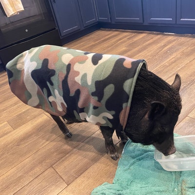 Fleece Strap Sweater Double Layer Pig Coat With Leash Hole - Etsy