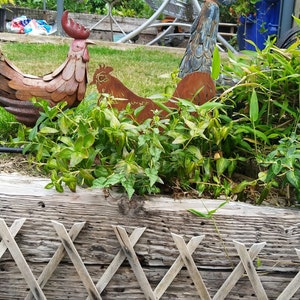 Rusty Metal Cockerel Rusty Rooster Rusty Chicken Garden Ornaments Art ...