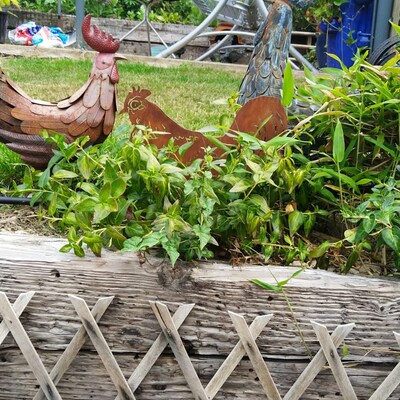 Rusty Metal Cockerel Rusty Rooster Rusty Chicken Garden Ornaments Art ...