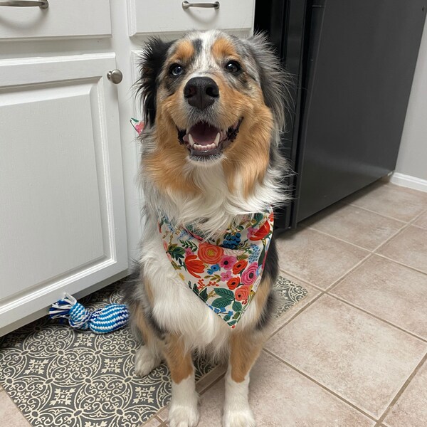 The Loop Di Doo - Pet Waste Bag Holder, Poop Loop, Dog Bag Carrier - Etsy