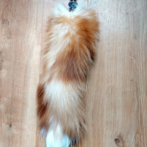 Cat Tail Plug and Ear Set Cat Ear Headband Bdsm Fox Tail Butt - Etsy