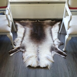 Goat Skin Exclusive 98 X 80 Cm Genuine Hide Rug Goatskin Pelt Leather ...