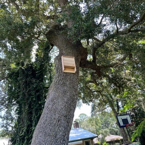 Large Bat House Bat Box Double Chambered Bat Houses Improved Air Flow ...