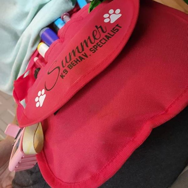 Custom Vet Tech Fanny Pack, Vet Tech Tool Belt, Vet Tech Organizer Belt ...