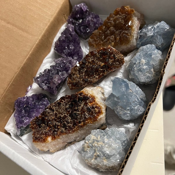 Amethyst, Citrine, & Celestite Crystal Cluster Gift Box, 9 - 12 Pieces ...
