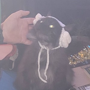 Julius Caesar Pet Costume, Hats for Cats, Cat Hat Pattern, Pet Hat ...