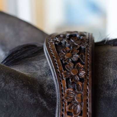 Pattern: Narrow Oval Bronc Halter & Noseband Templates for Leatherwork ...