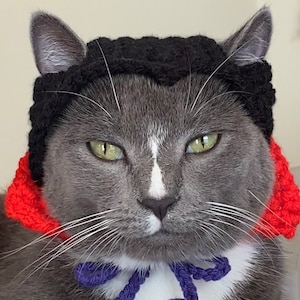 Brunhilde Vikings Valkyries Wagner Opera Hats for Cats - Etsy