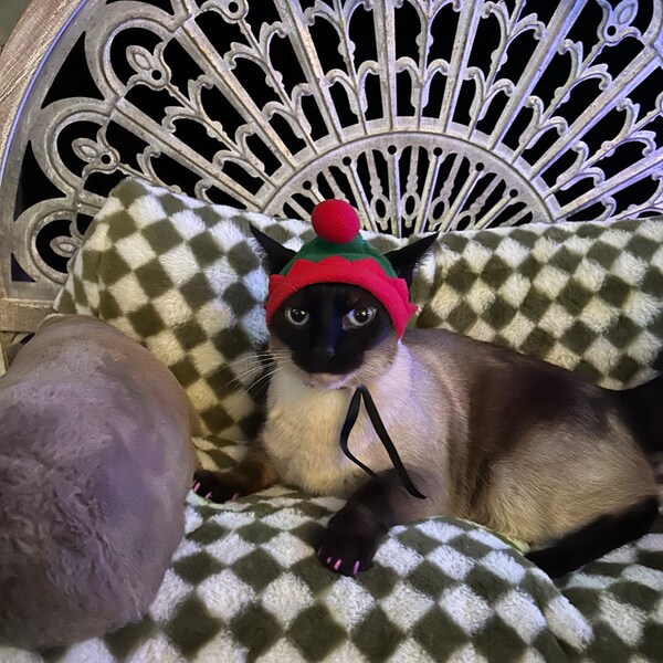 Elf Cat Hat. Christmas Cap for Cats and Kittens. Pet Photo Prop ...