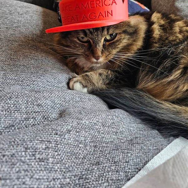 3D Printed Universal Cat Toilet Paper Guard - Etsy