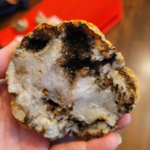 8lbs of Carthage TN Unopened Geodes/agates/nodules Lapidary Break or ...