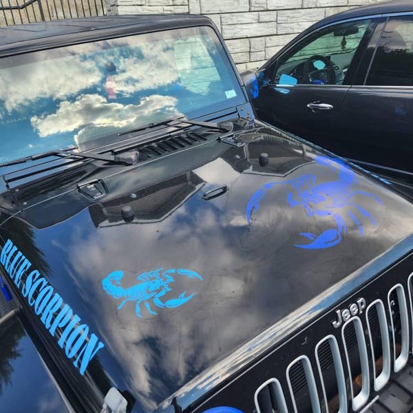 Many Designs - ONE (1) Car Window Sticker Back Window Design Auto Vinyl ...