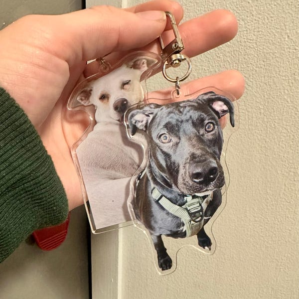 Custom Cat Keychain, Dog Keychain, Pet Keychain, Personalized Pet Photo ...