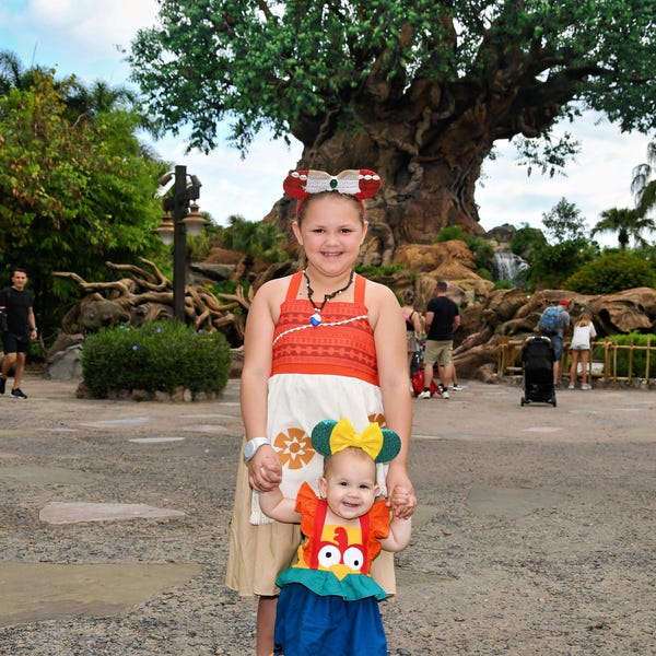Nemo and Dory Ears, Mickey Ears Hair Clips, Dory Mickey Ears, Nemo ...