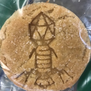 Bacteria Cookie Cutter Microbiology Biscuit Cutters Microbiologist ...