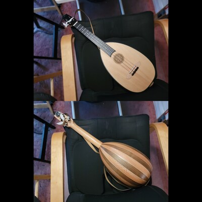 Appalachian Dulcimer 4 String Mountain Dulcimer Cutaway, F-hole ...