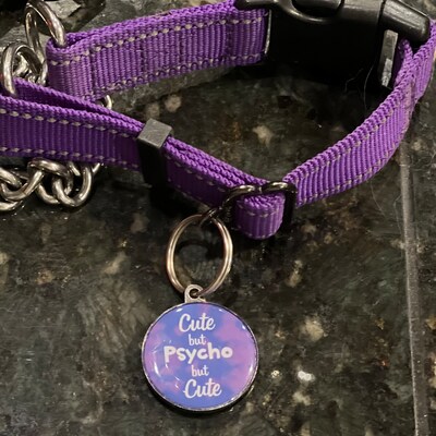 Poop Dog Tag for Your Little Sht Free Personlisation - Etsy UK