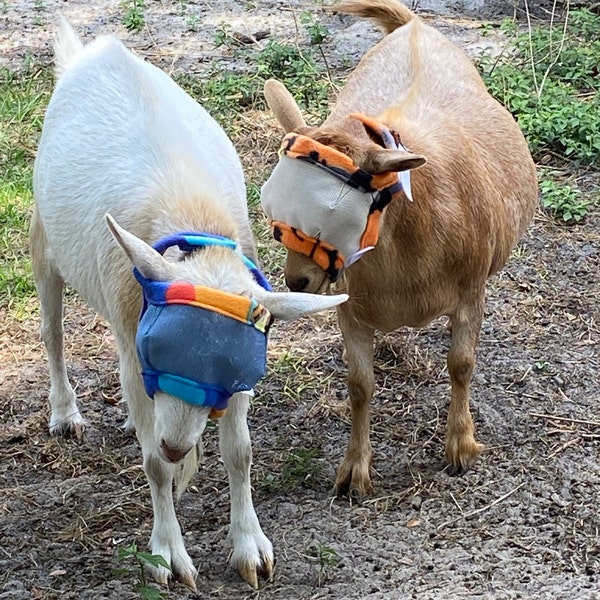 Goat/sheep Fly Masks - With & W/o Horns - Dual Adjustable - Made to ...