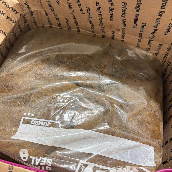 Cow Pasture Manure Pie Patty Poop - Fresh Organic Garden Plant ...