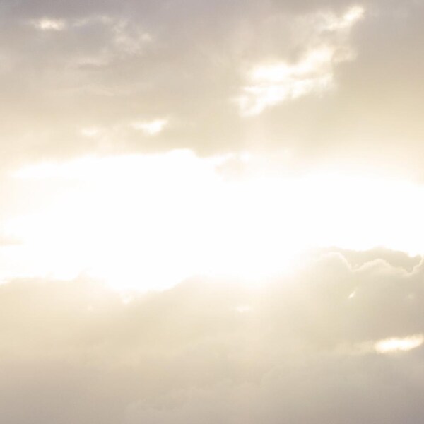 White Dove Overlays Wedding Doves Overlay Peace Birds Photoshop ...