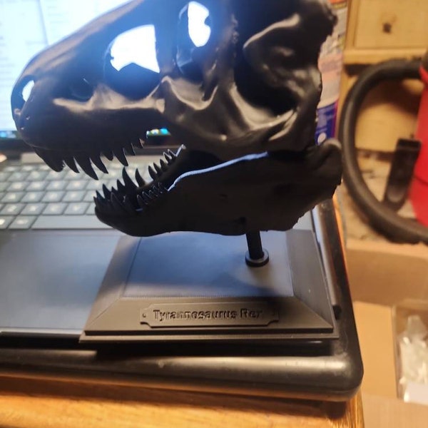 Cat Key Holder 3D STL File for 3D Printing, Adorable Pop-out Cat Design, Functional Home Decor ...