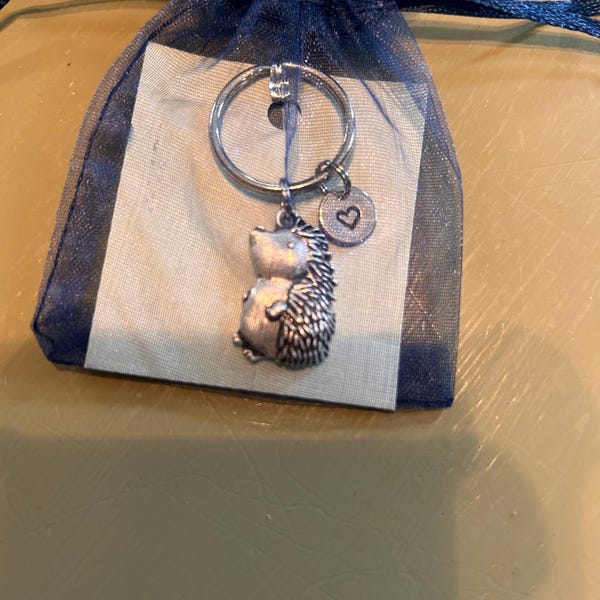 Lightning Bolt Key Ring/ Keychain / Zipper Pull - Lightning Gift ...