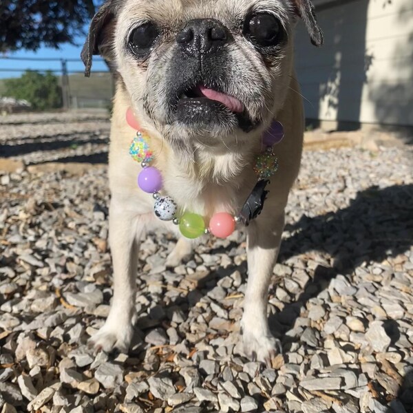 Retro Pug Specialty Pug Bead Necklace - Etsy