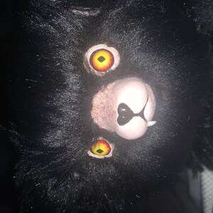 Lykoi Kitten 3 Different Styles - Etsy