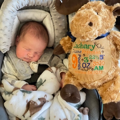 Personalized Stuffed Animal Teddy Bear Embroidered Birth - Etsy