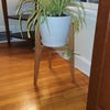 Three Tier Plant Stand, Maple, Mid-century Modern, Solid Hardwood - Etsy