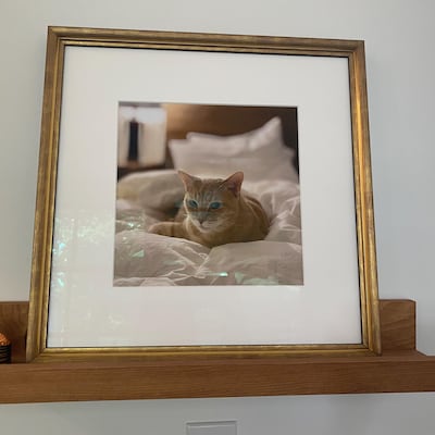 Eclectic Picture Frames Colorful Ridges Funky Decor Vintage Lime Green ...