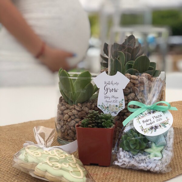 Mini Cactus Soap Favors - Succulent Soap - Succulent Party Favor ...