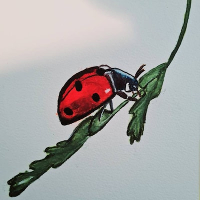 Watercolor Ladybug Painting Tutorial, Ladybird Watercolour PDF Lesson ...