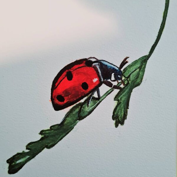 Watercolor Ladybug Painting Tutorial, Ladybird Watercolour PDF Lesson ...