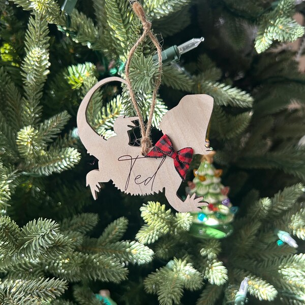 Centipede - Scolopendra - Centipedes - Invertebrates - Arthropod ...