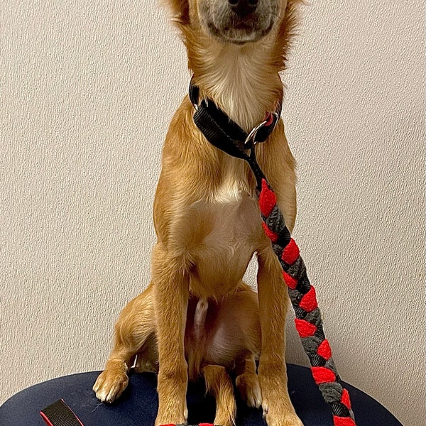 Braided Fleece Leash 3-in-1 – Perfect for Agility Starts - Etsy