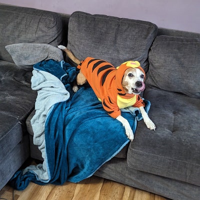 Princess Daisy Pet Costume From Super Mario Brothers XS-XL - Etsy