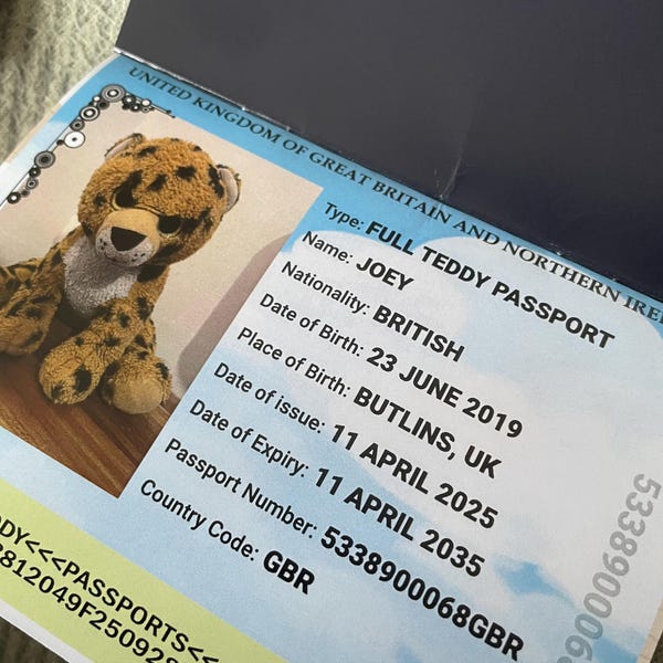 American Teddy Bear Passport - Personalised Passport for American ...