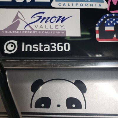 Panda Peeking Vinyl Decal Car Window Bumper Sticker Funny Cute Pandas ...