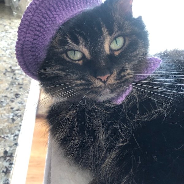 French Beret Hat and Scarf, Beret Hat for Cat, Cat Scarf, Purple Kitten ...