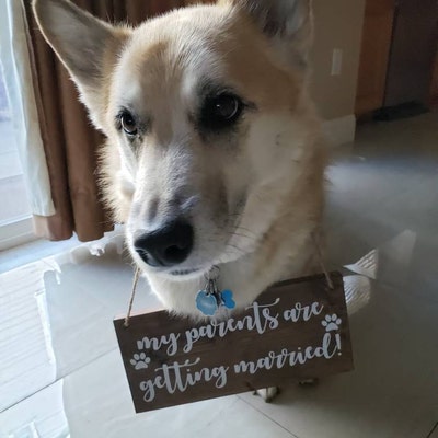 Our Parents Are Getting Married Sign-save the Date-save the Date Dog ...
