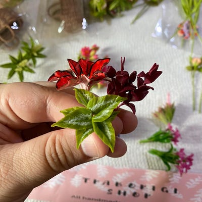 Miniature Water Lily Flower Bunch of Flowers,miniature Blue Color Lotus ...