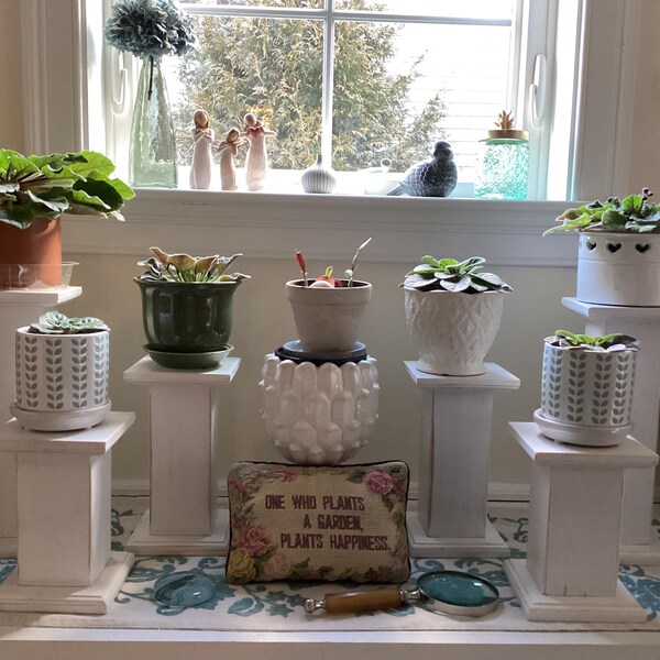 Wood Pedestal Risers, Small Plant Risers, Walnut Stained Risers , Black ...